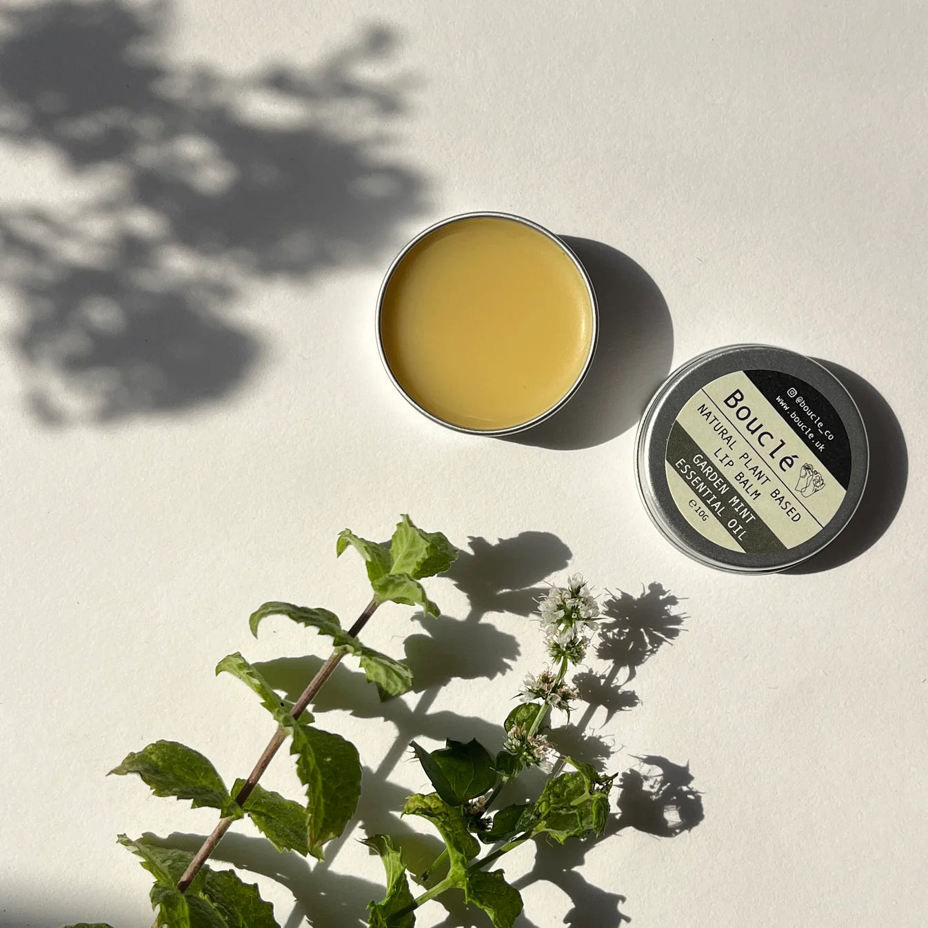 Varasalvi - Garden Mint – EKOhúsið